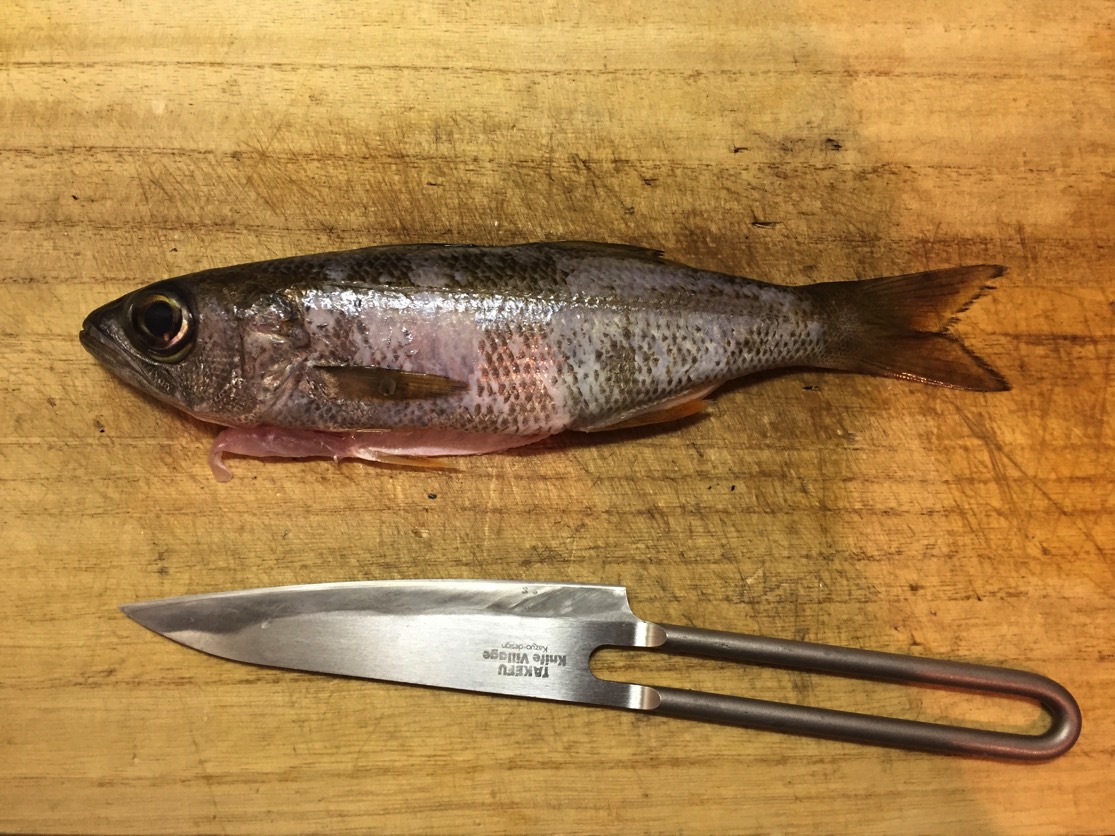 [ムツ料理]美味しい食べ方、干物（一夜干し）の作り方を解説！｜釣りキチ隆の視点